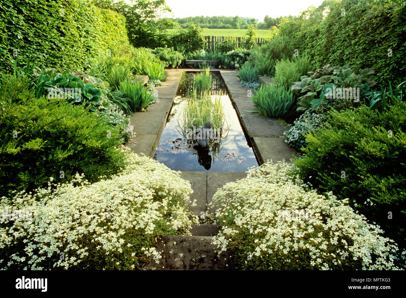 Formal garden pond hi-res stock photography and images - Alamy