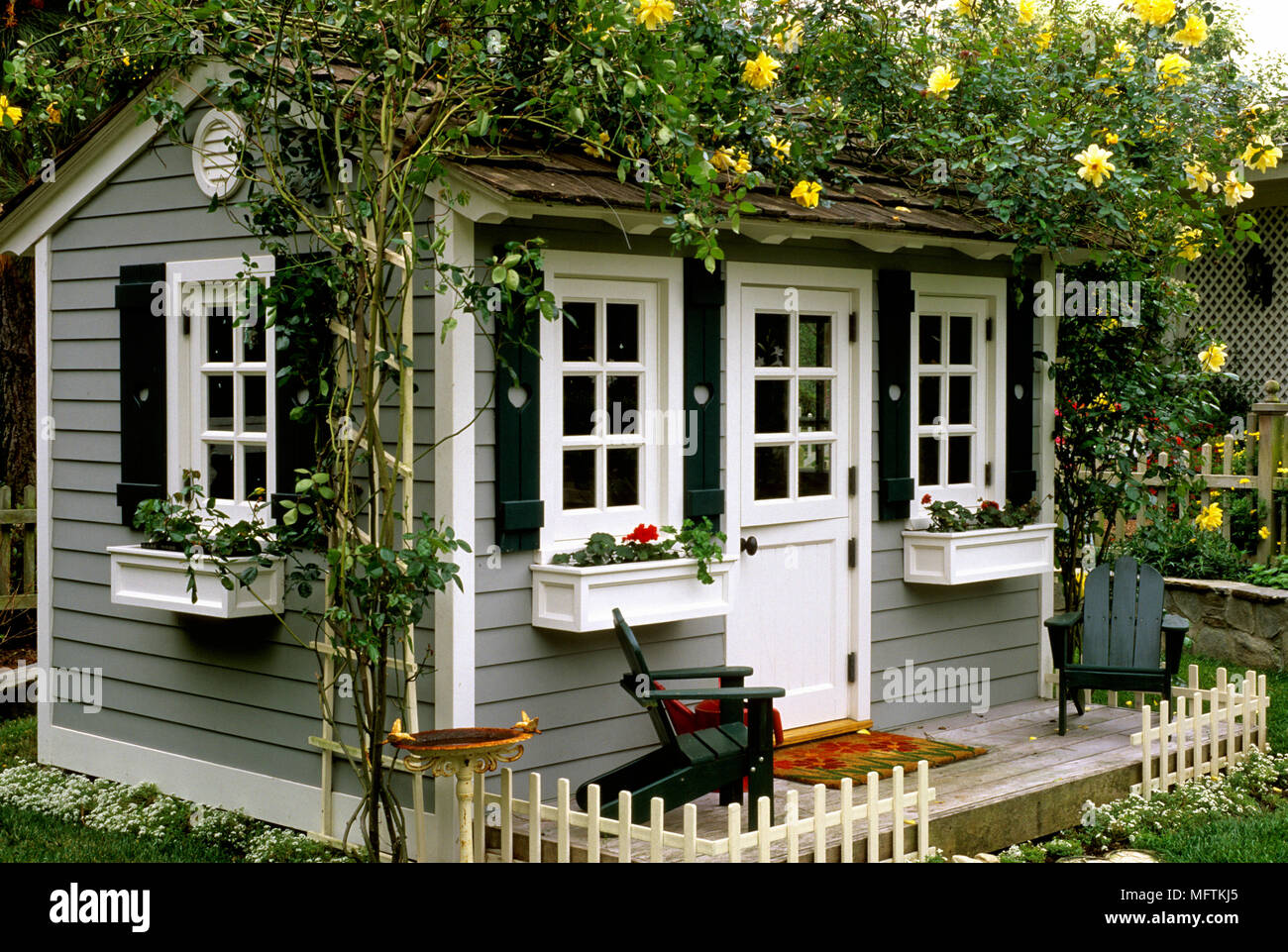 Golden showers hi-res stock photography and images - Alamy