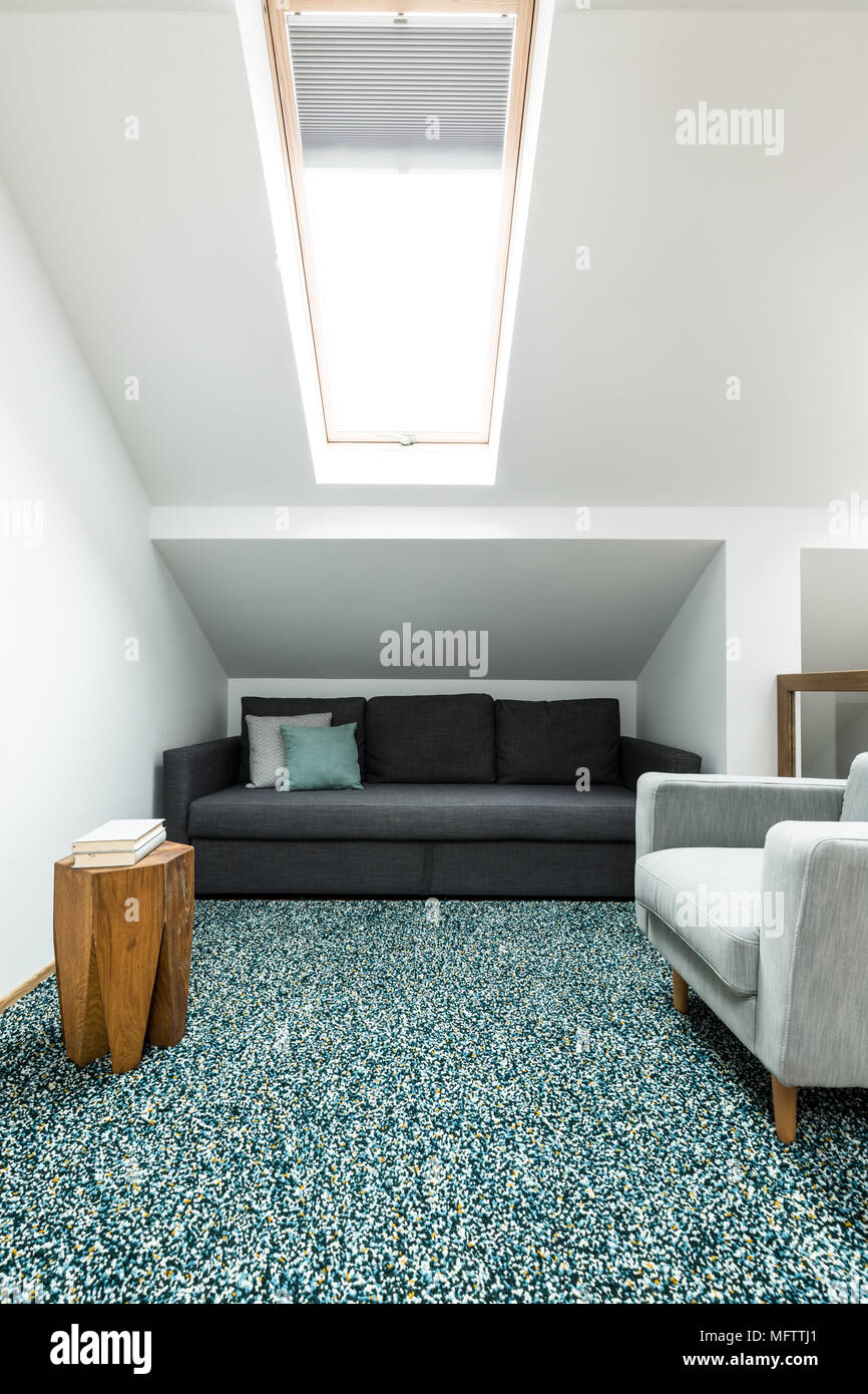Black and gray sofa in an attic living room interior with a carpet ...