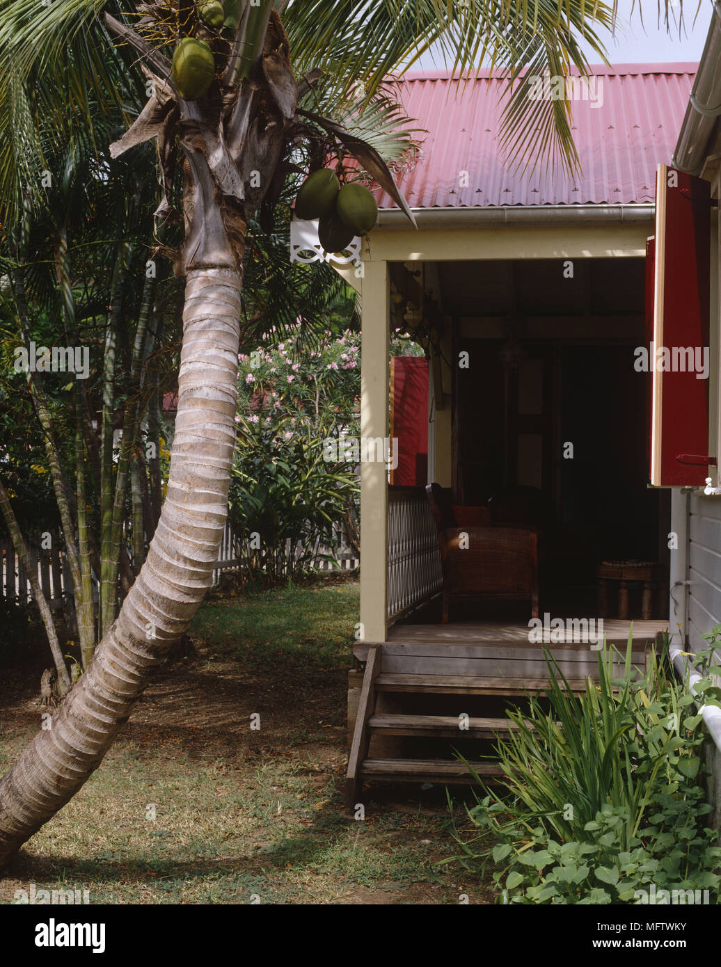 Caribbean garden with palm trees and veranda in background Stock Photo ...