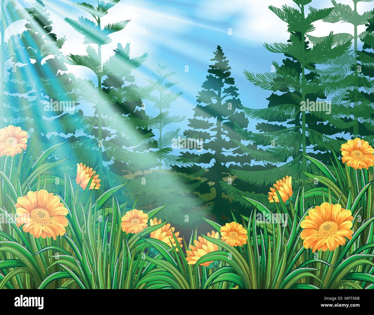 Sun over forest Stock Vector Images - Alamy