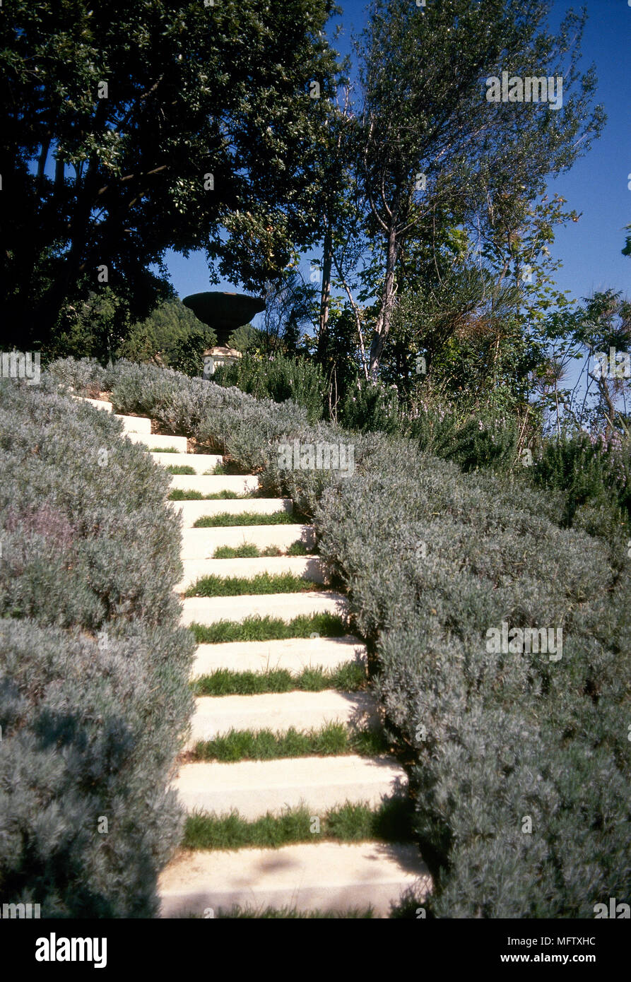 Progression path hi-res stock photography and images - Alamy