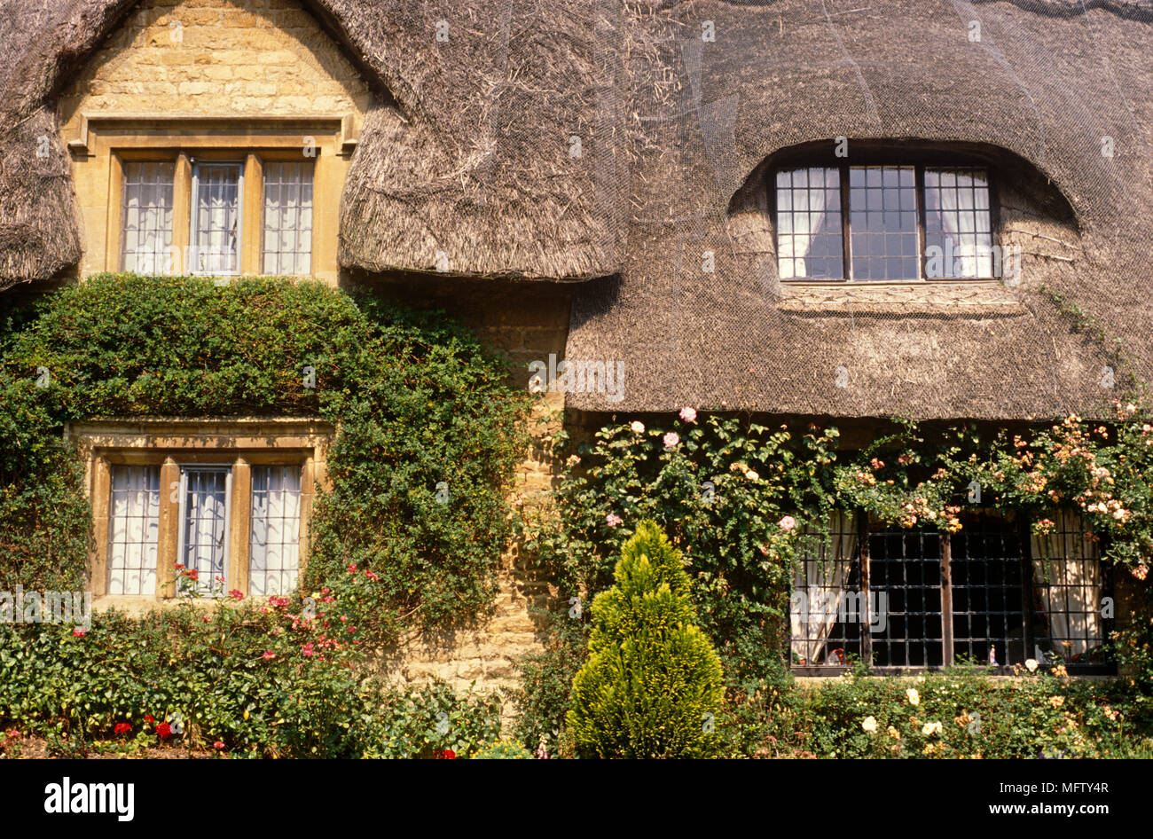 Exterior of Cotswold stone thatched cottage Stock Photo - Alamy