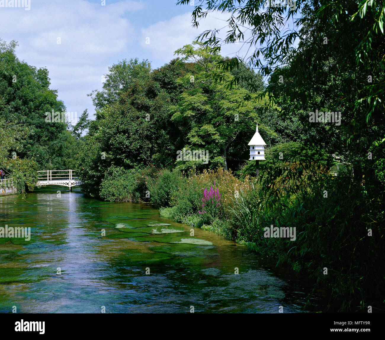 A country stream with bridge, waterside flower borders, trees, bird ...