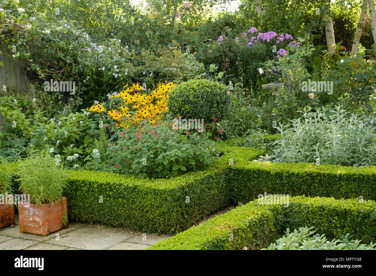 Formal Low Hedge In Garden Formal Hedging