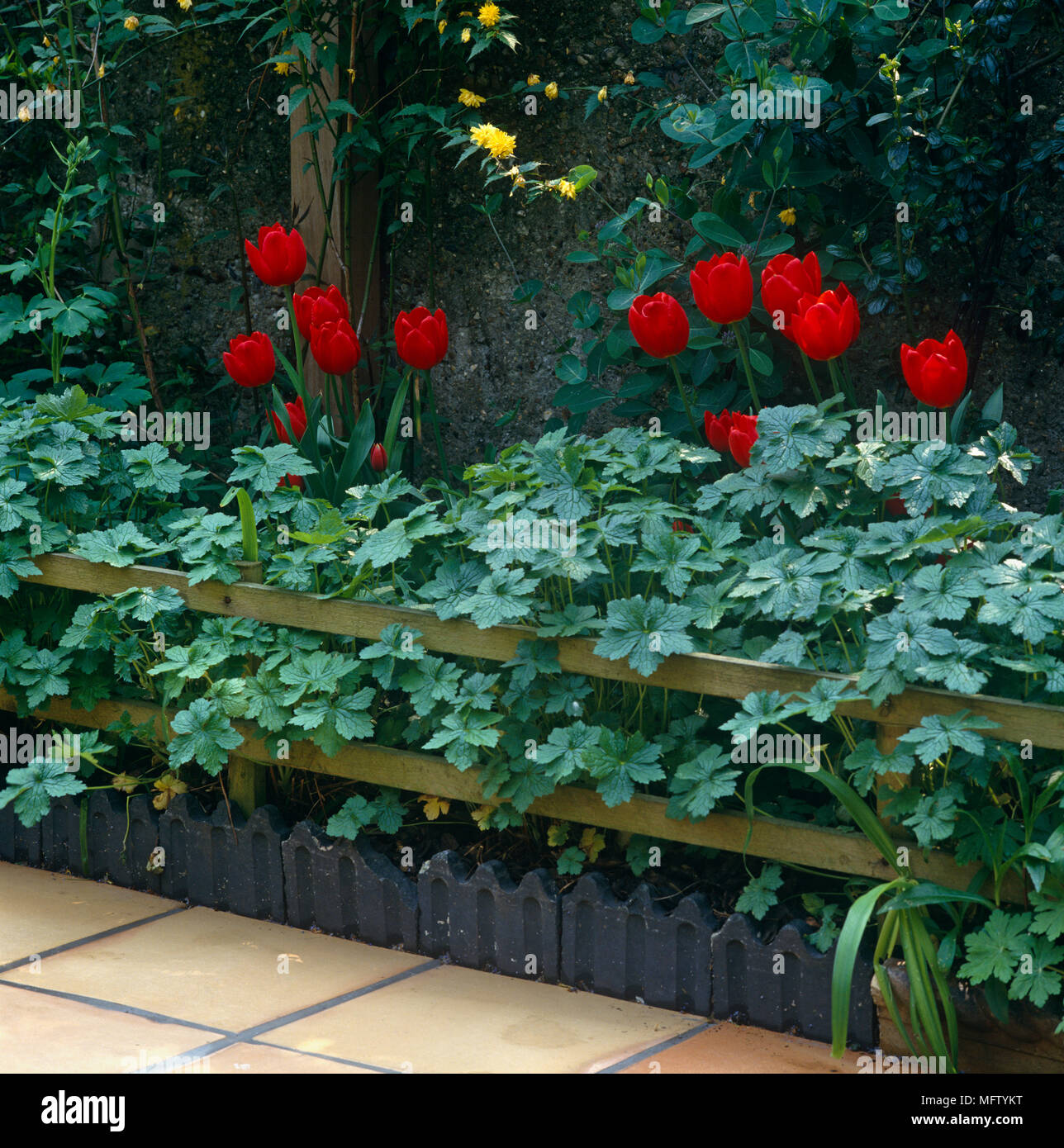 Garden edging hi-res stock photography and images - Alamy