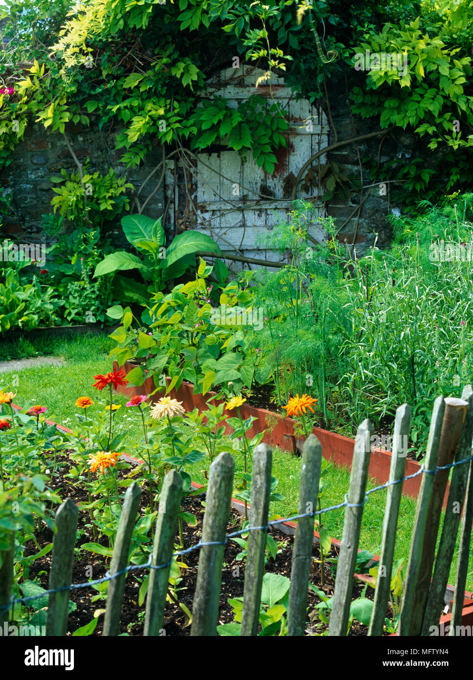 Vegetable garden with grass path around vegetable patch Stock Photo - Alamy