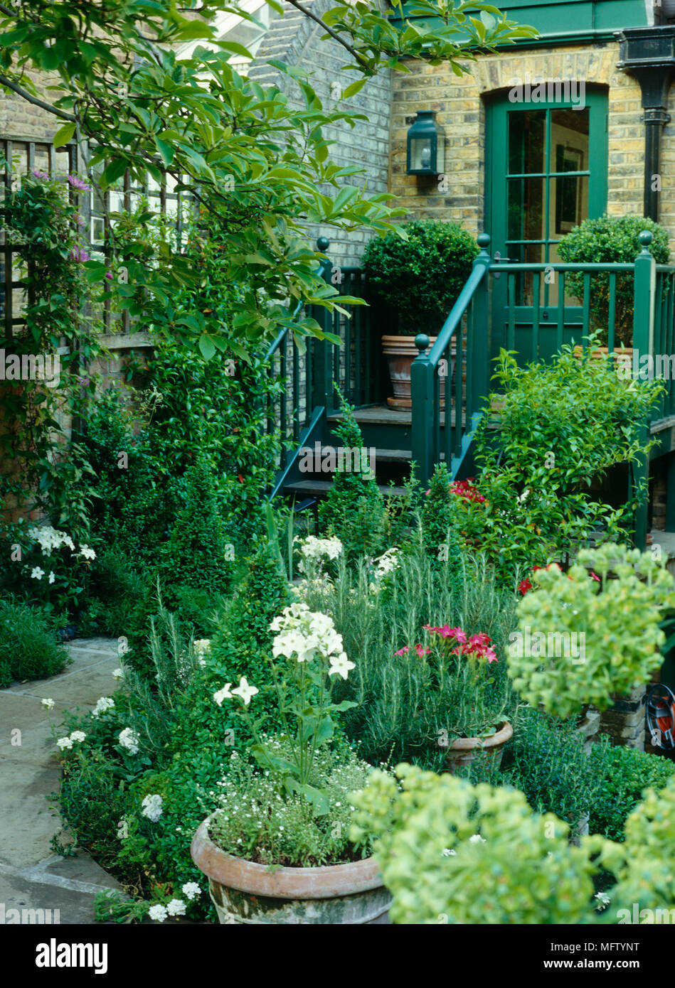 Steps leading down into town garden with flowers in pots Stock Photo ...