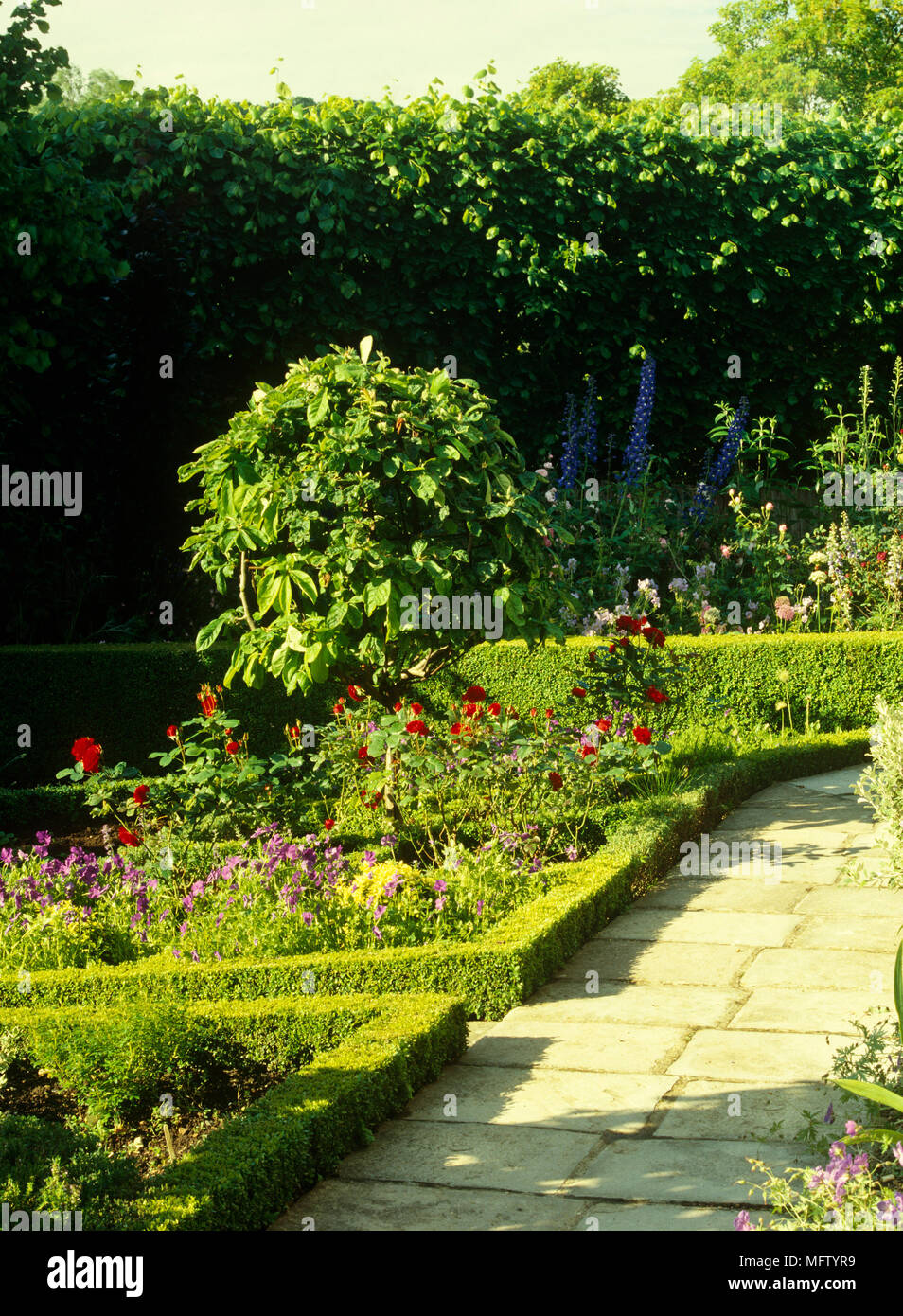 Paved pathway bordered by flower borders with low clipped hedging Stock ...