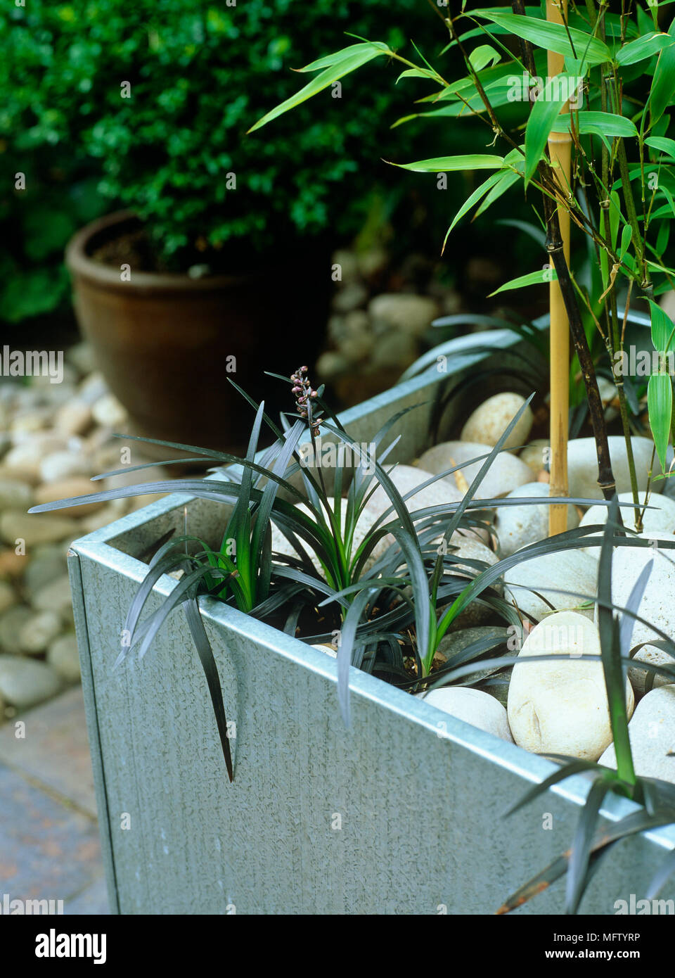 Modern garden uk stones hi-res stock photography and images - Alamy