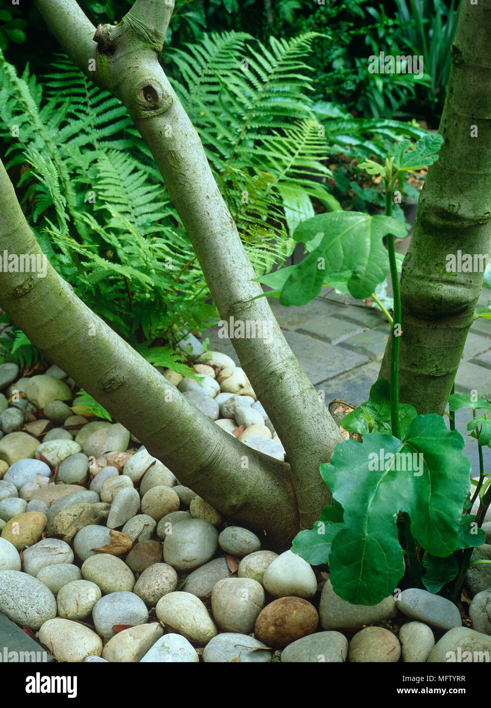 Surrounded by stones hi-res stock photography and images - Alamy
