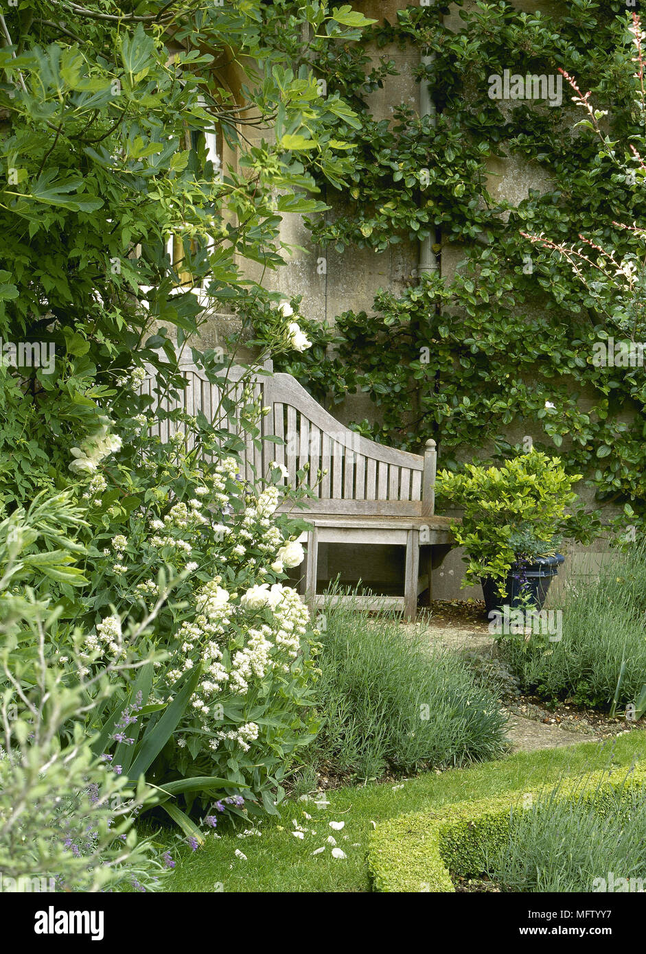 Garden bench flower border hedge climbing plant Gardens detail climbers ...