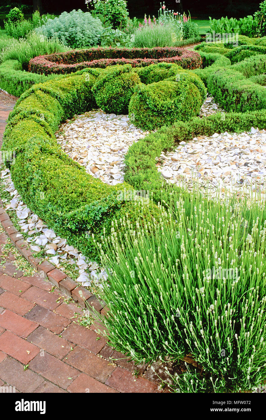 Contemporary garden buxus modern hi-res stock photography and images ...