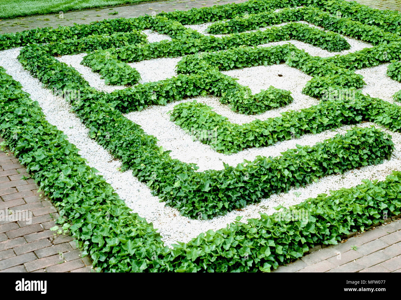 A shingle maze path edged with Hedera helix Stock Photo - Alamy