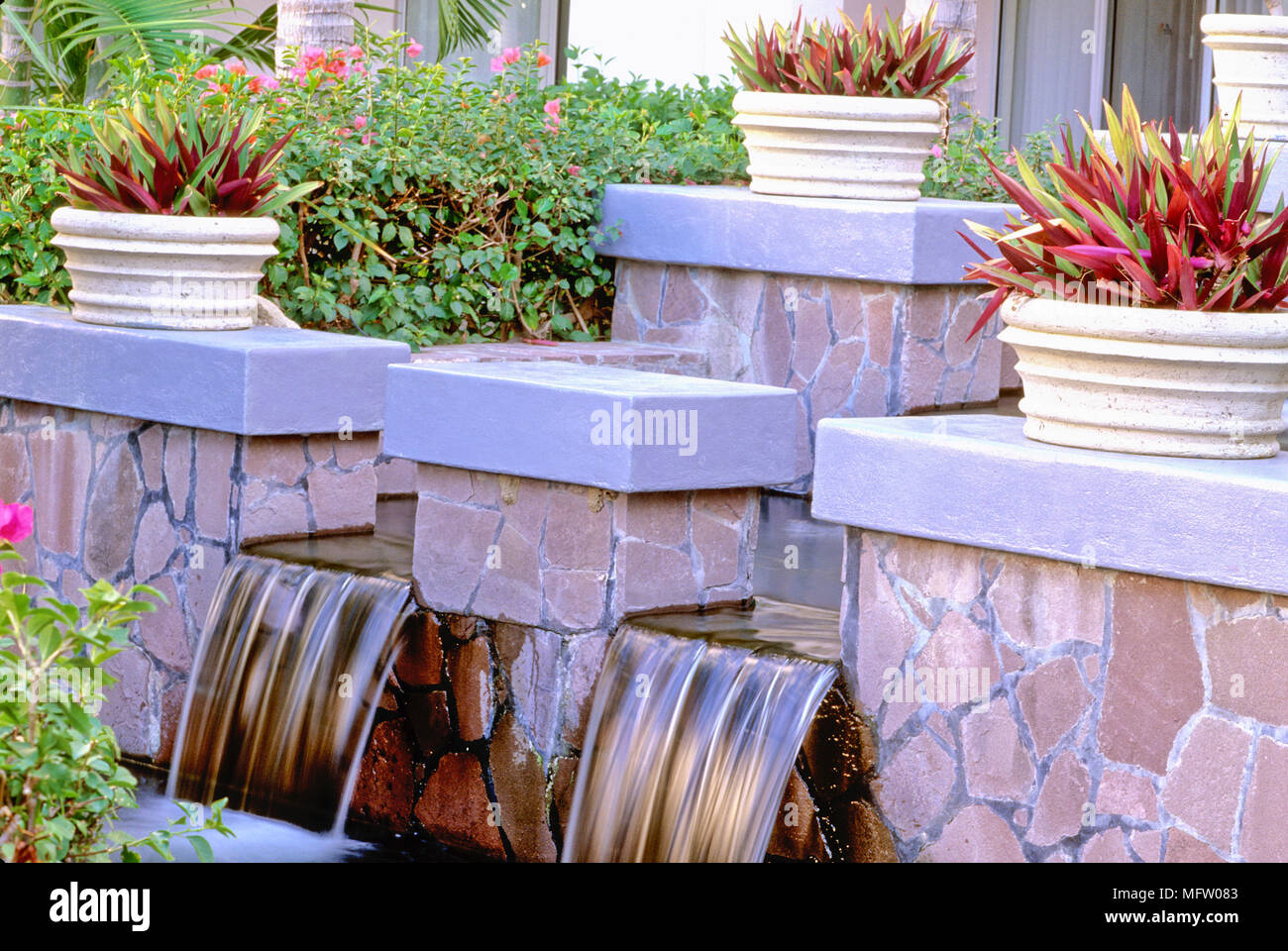 Small waterfall with Tradescantia spathacea in containers Stock Photo ...