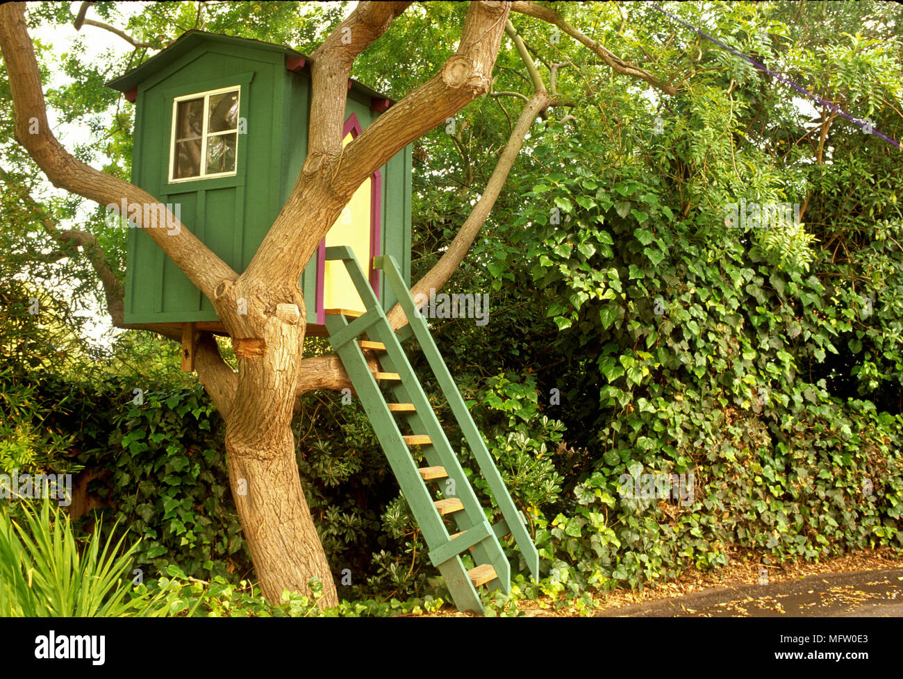 Ladder to treehouse Stock Photo - Alamy