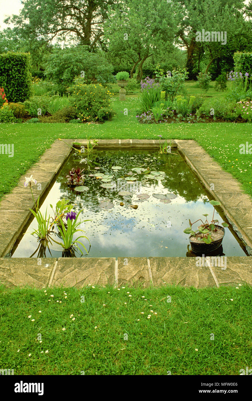 Square pond set in garden lawn Stock Photo - Alamy