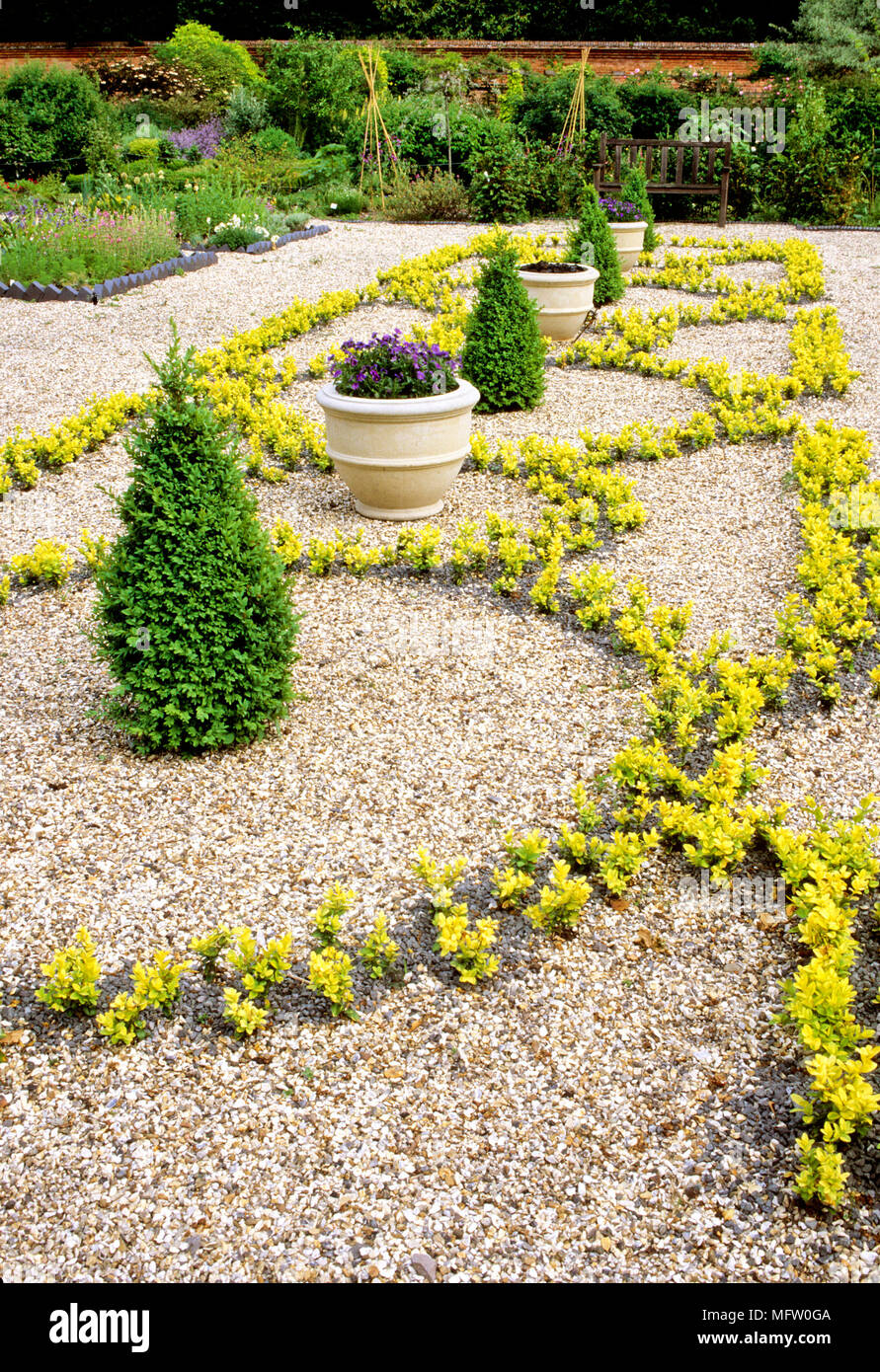 Viola buxus variegata hi-res stock photography and images - Alamy
