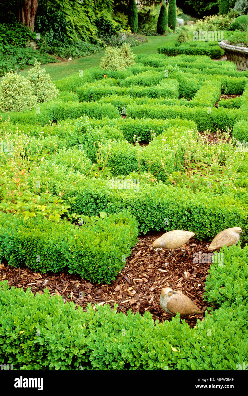 Clipped box hedging hi-res stock photography and images - Alamy