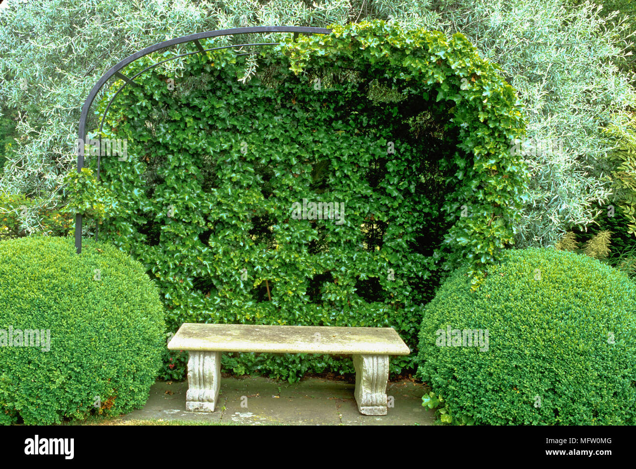 Stone bench amongst plantings of Buxus, Hedera and Pyrus Stock Photo ...