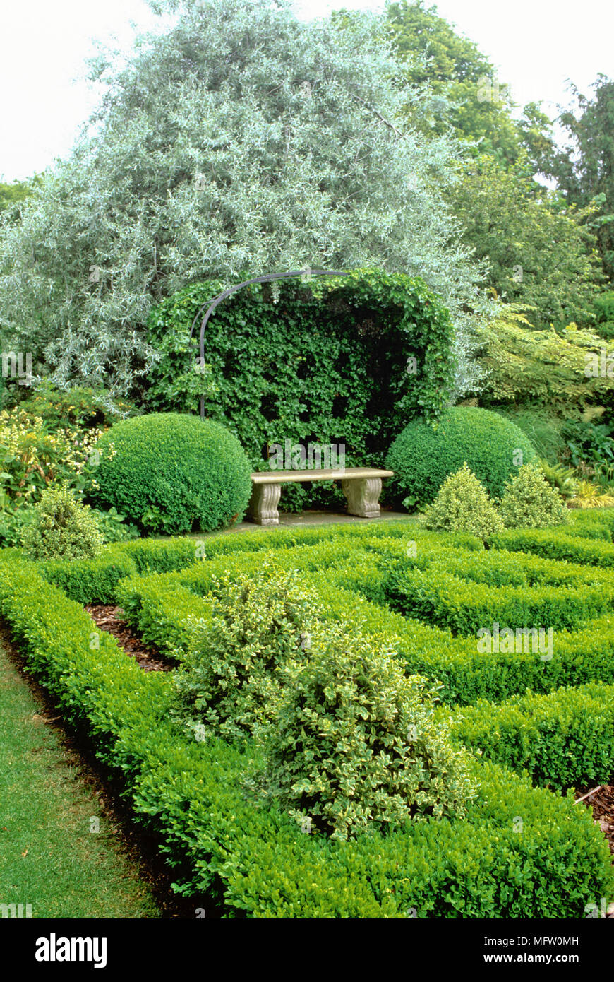 Stone bench amongst plantings of Buxus, Hedera and Pyrus Stock Photo ...