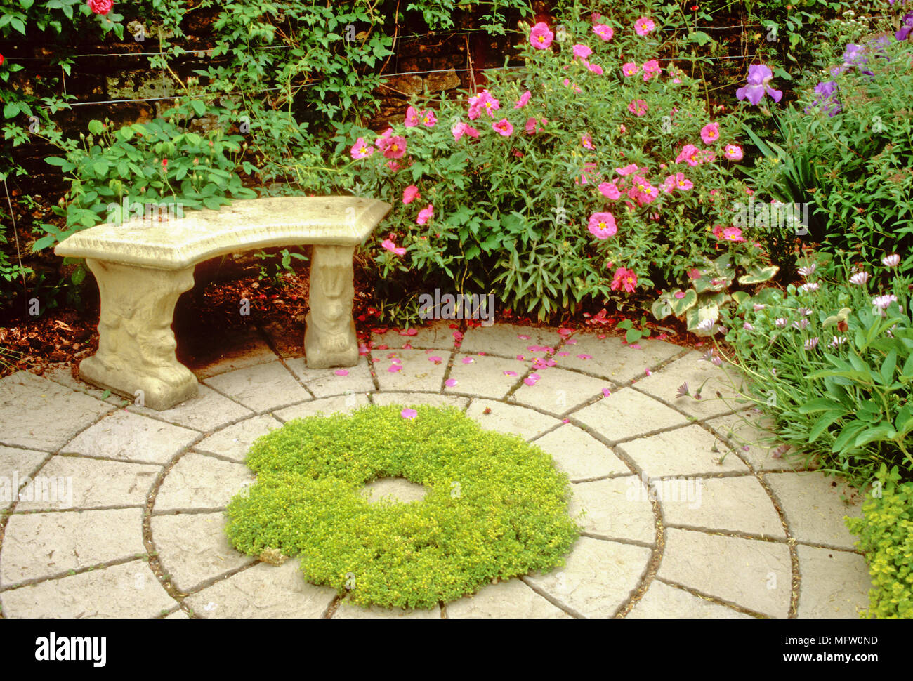 Stone bench on paved area planted with Cistus and Thymus Stock Photo ...
