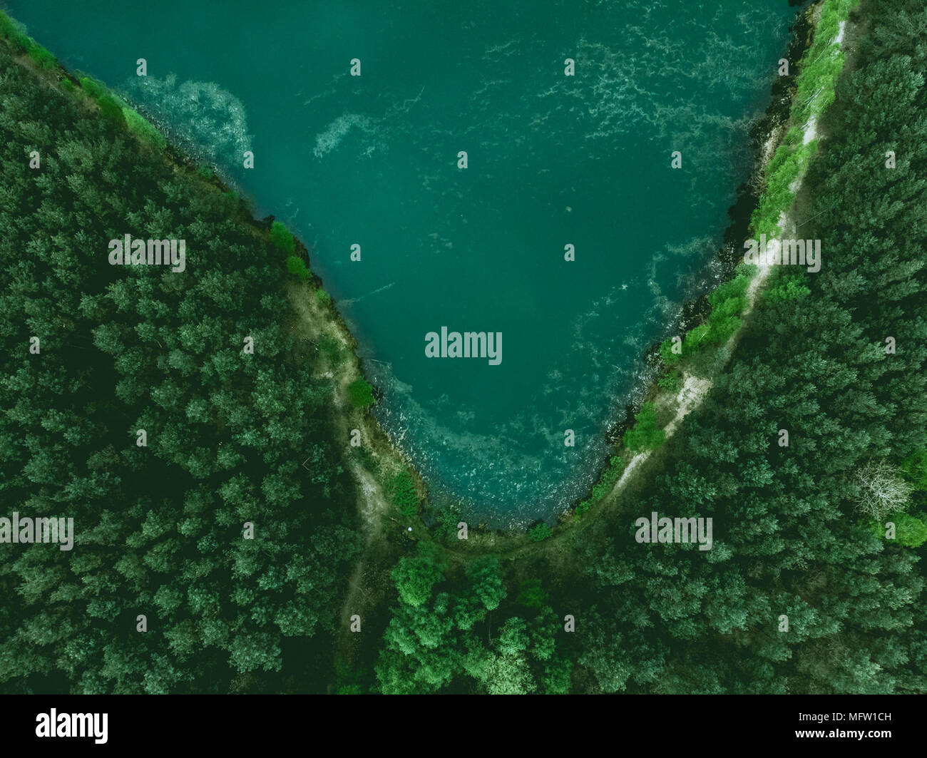 Pond and forest border from above,aerial view Stock Photo - Alamy