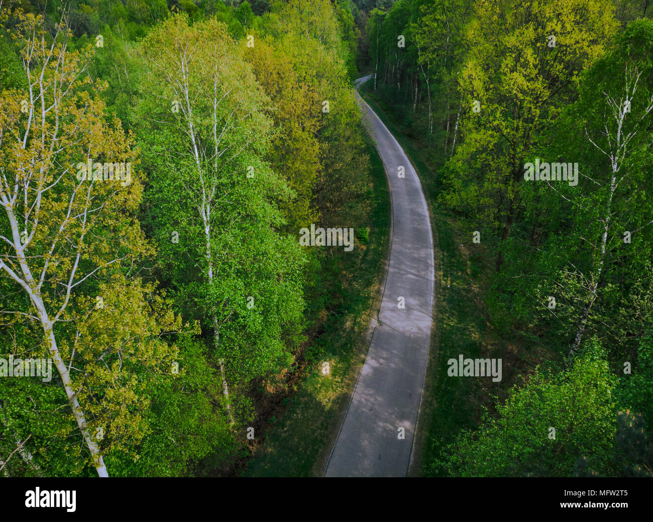 Asphalt road trough forest,from above Stock Photo - Alamy