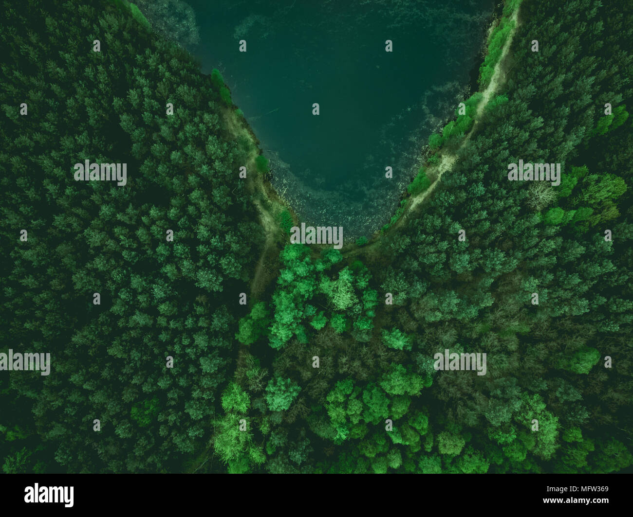 Pond and forest border from above,aerial view Stock Photo - Alamy