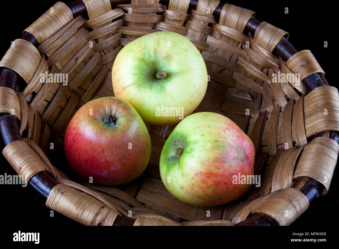 Old German Apple Cultivar "Rheinland Ruhm Stock Photo - Alamy