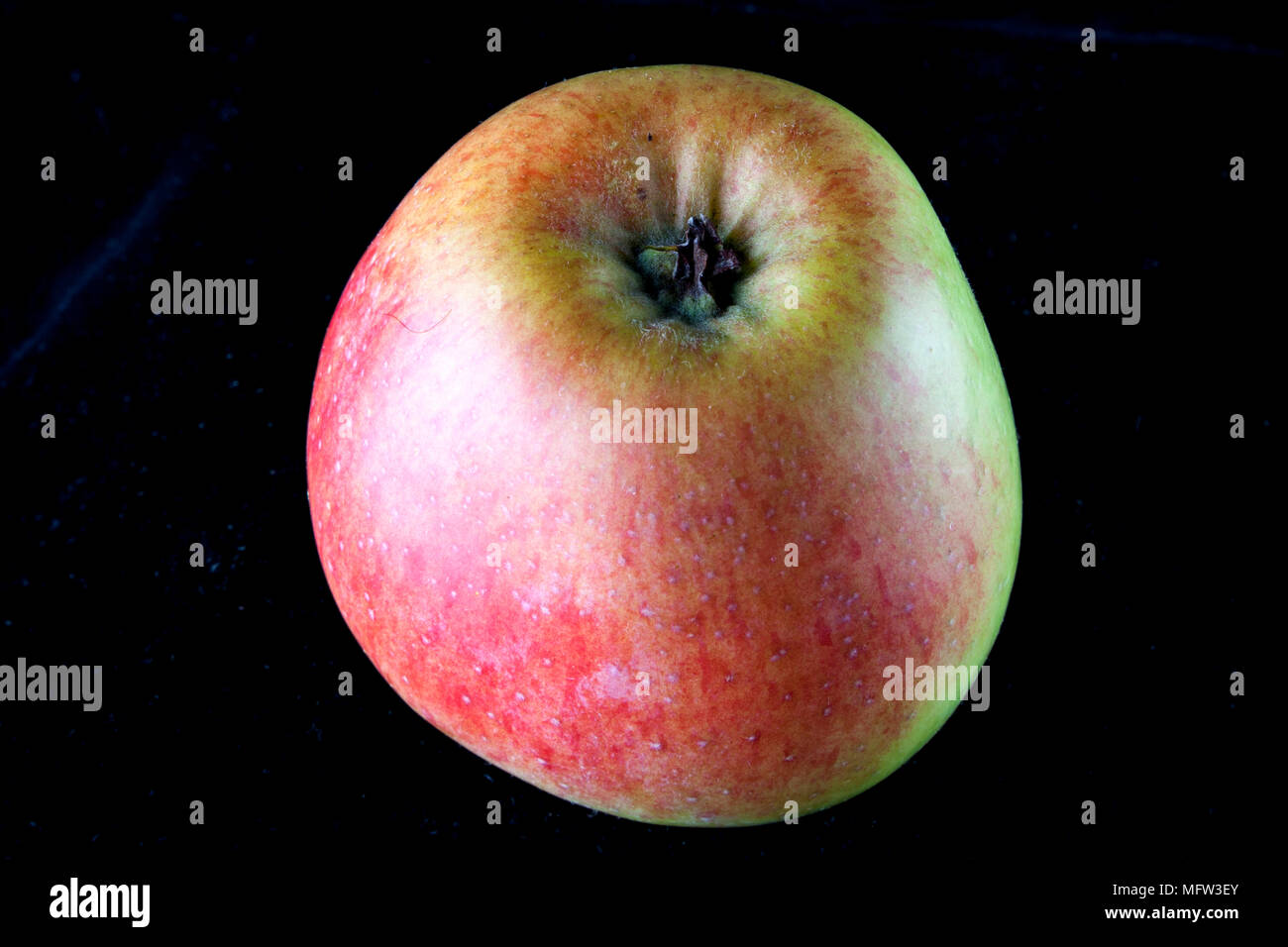 Old German Apple Cultivar "Rheinland Ruhm Stock Photo - Alamy