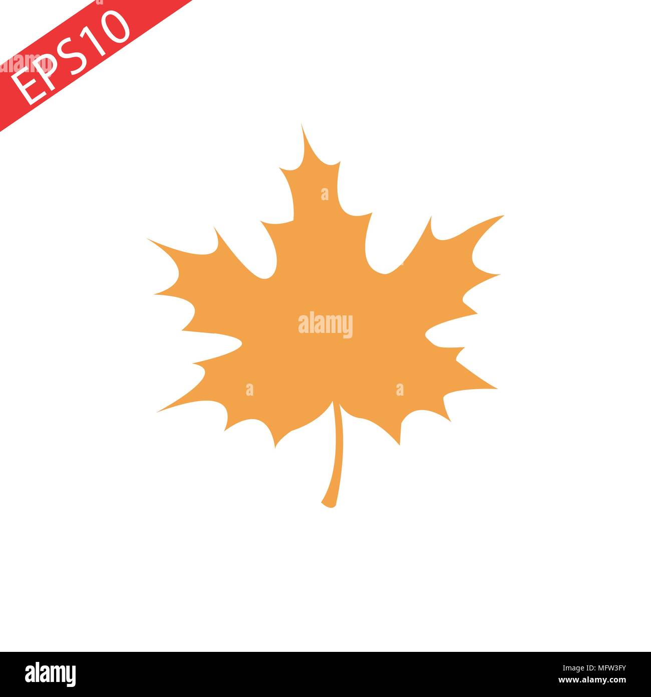 Maple leaf vector illustration, isolated on white background. Autumn ...