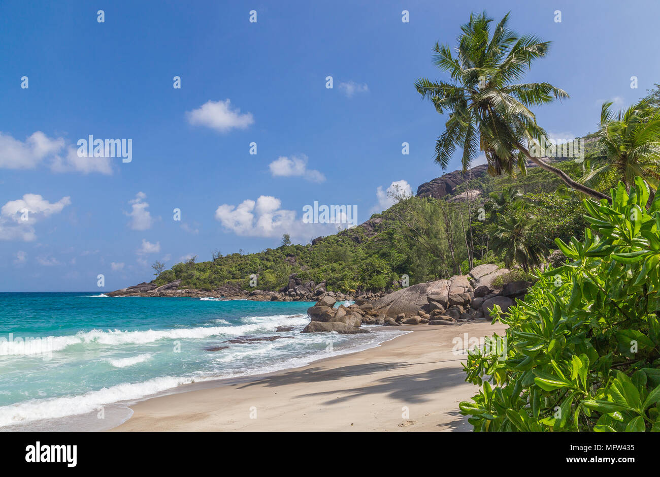 Anse major mahe seychelles hi-res stock photography and images - Alamy