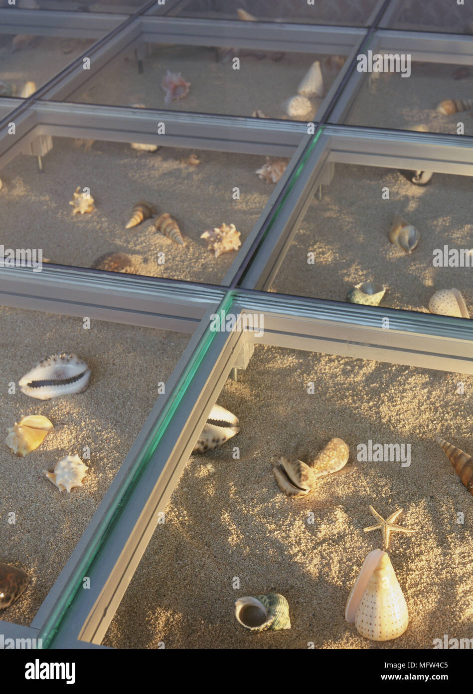 A modern glass floor set above sand and shells Stock Photo - Alamy