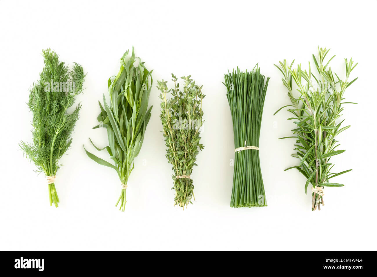 Bundles of assorted herbs lined up in a row Stock Photo - Alamy