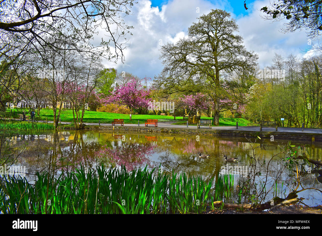 Bryngarw hi-res stock photography and images - Alamy