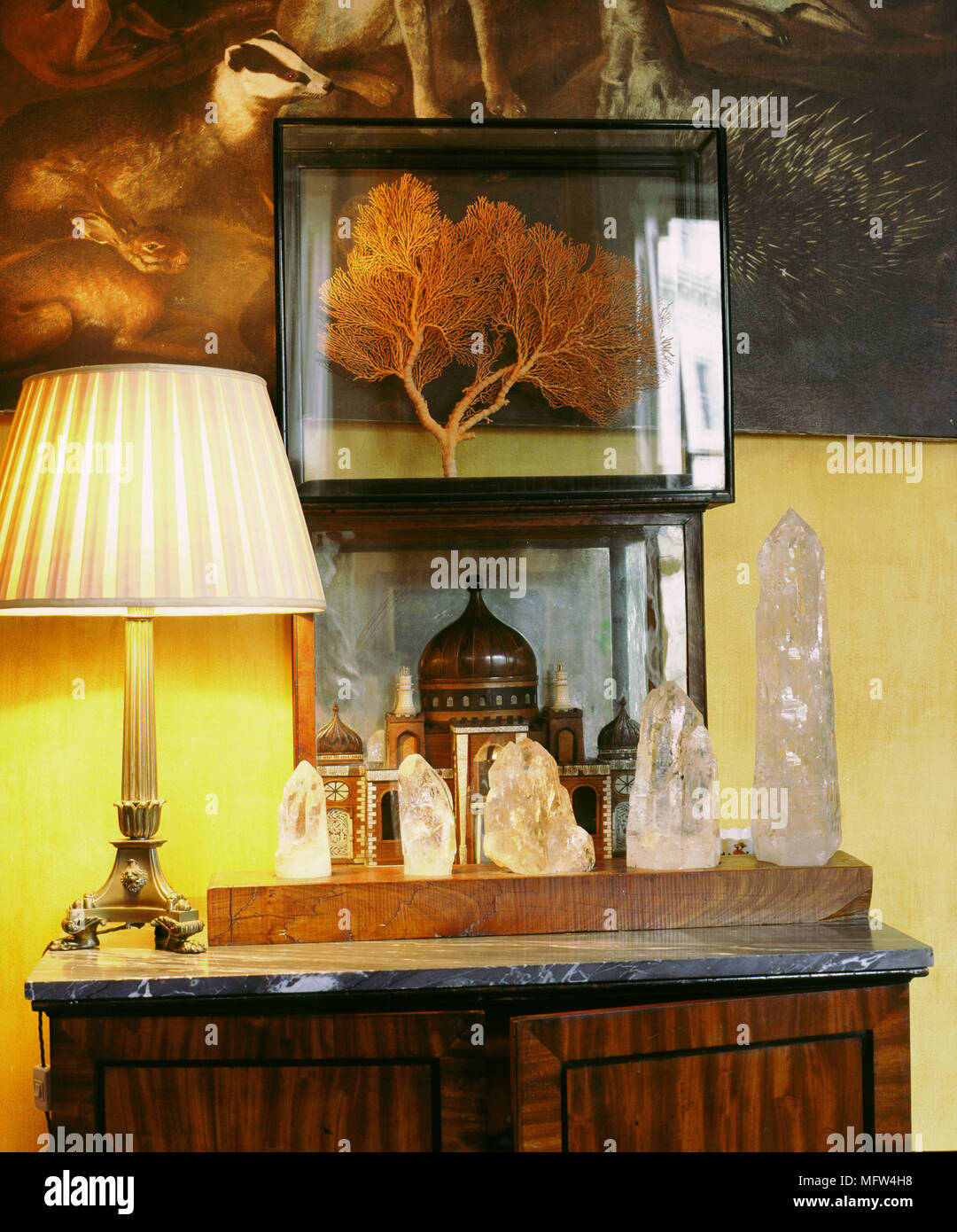 Glass display cases hi-res stock photography and images - Alamy