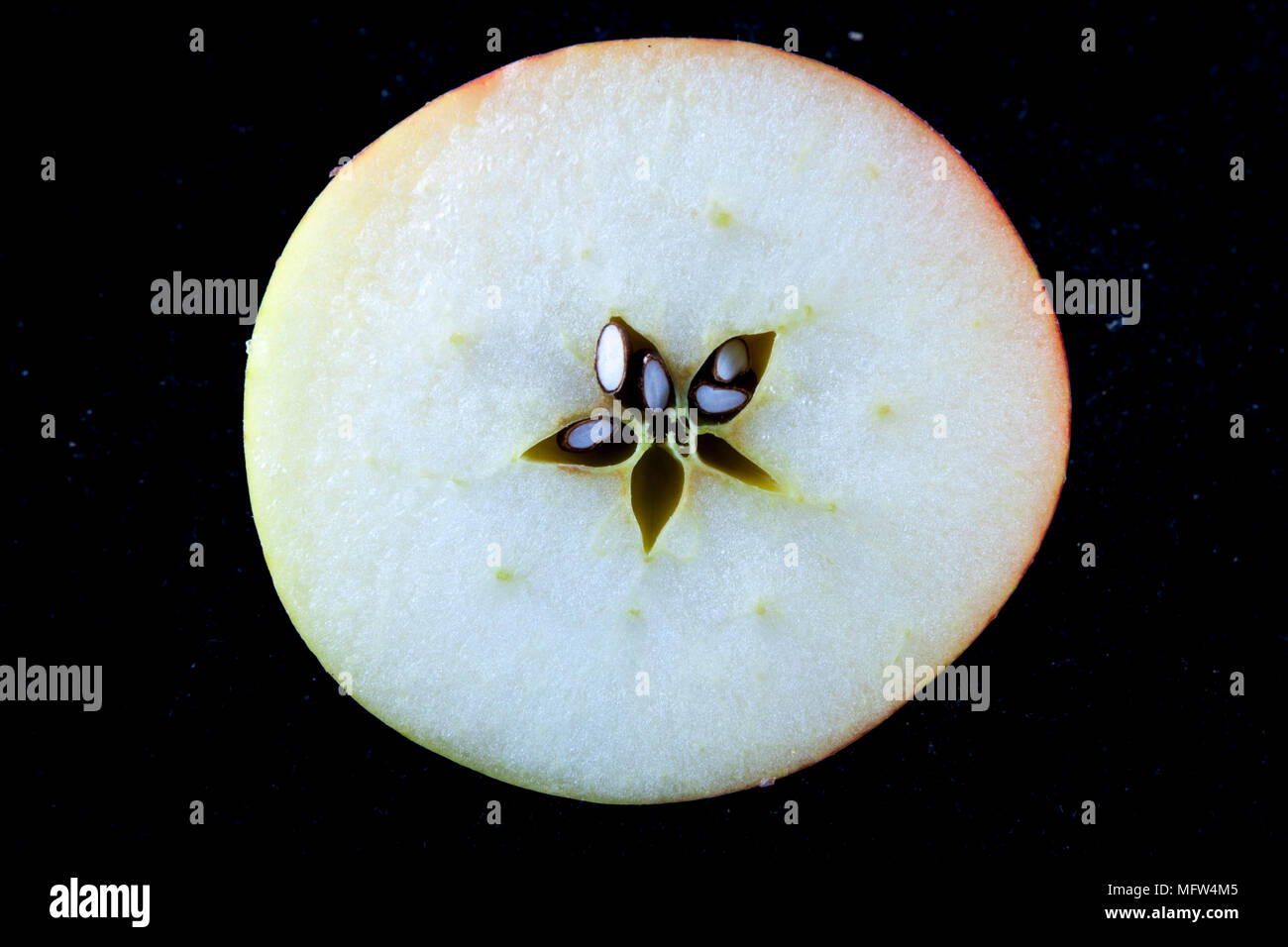 Peasgood’s nonsuch hi-res stock photography and images - Alamy