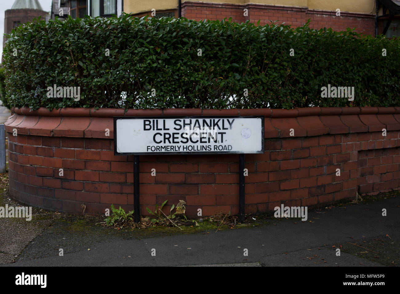 Jaap stam hi-res stock photography and images - Alamy