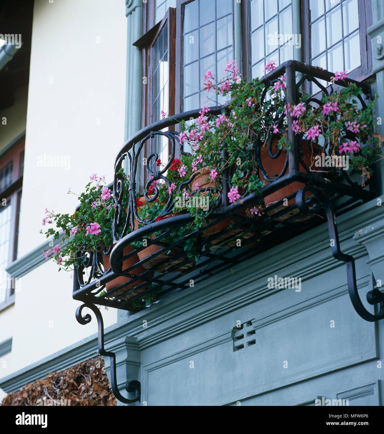 Pink geranium flowers in pots on wrought iron balcony Stock Photo - Alamy