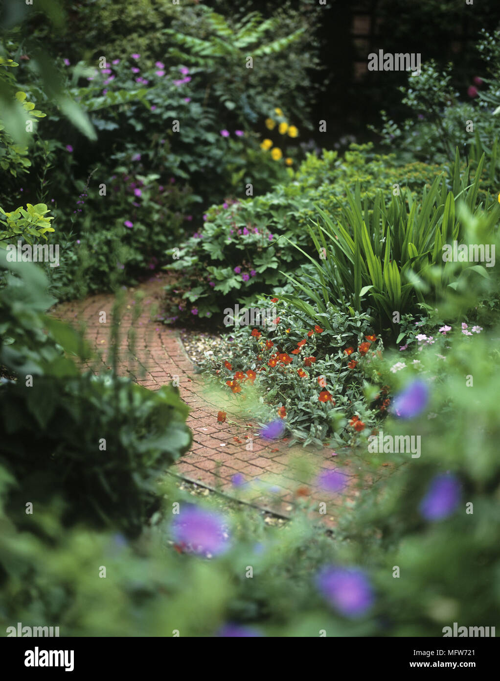 A detail of a garden brick path flower borders Stock Photo - Alamy