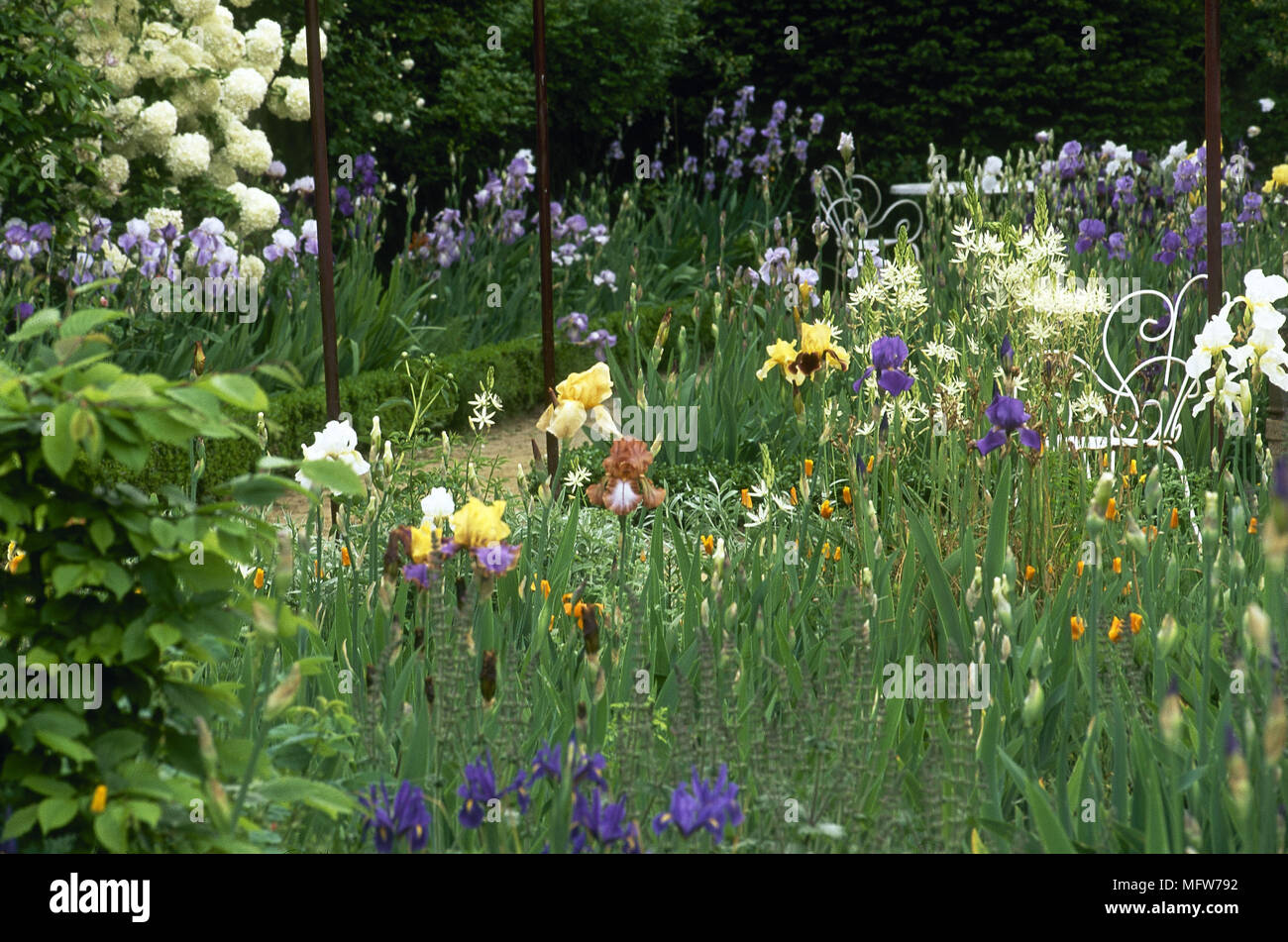 Garden flower borders hi-res stock photography and images - Alamy
