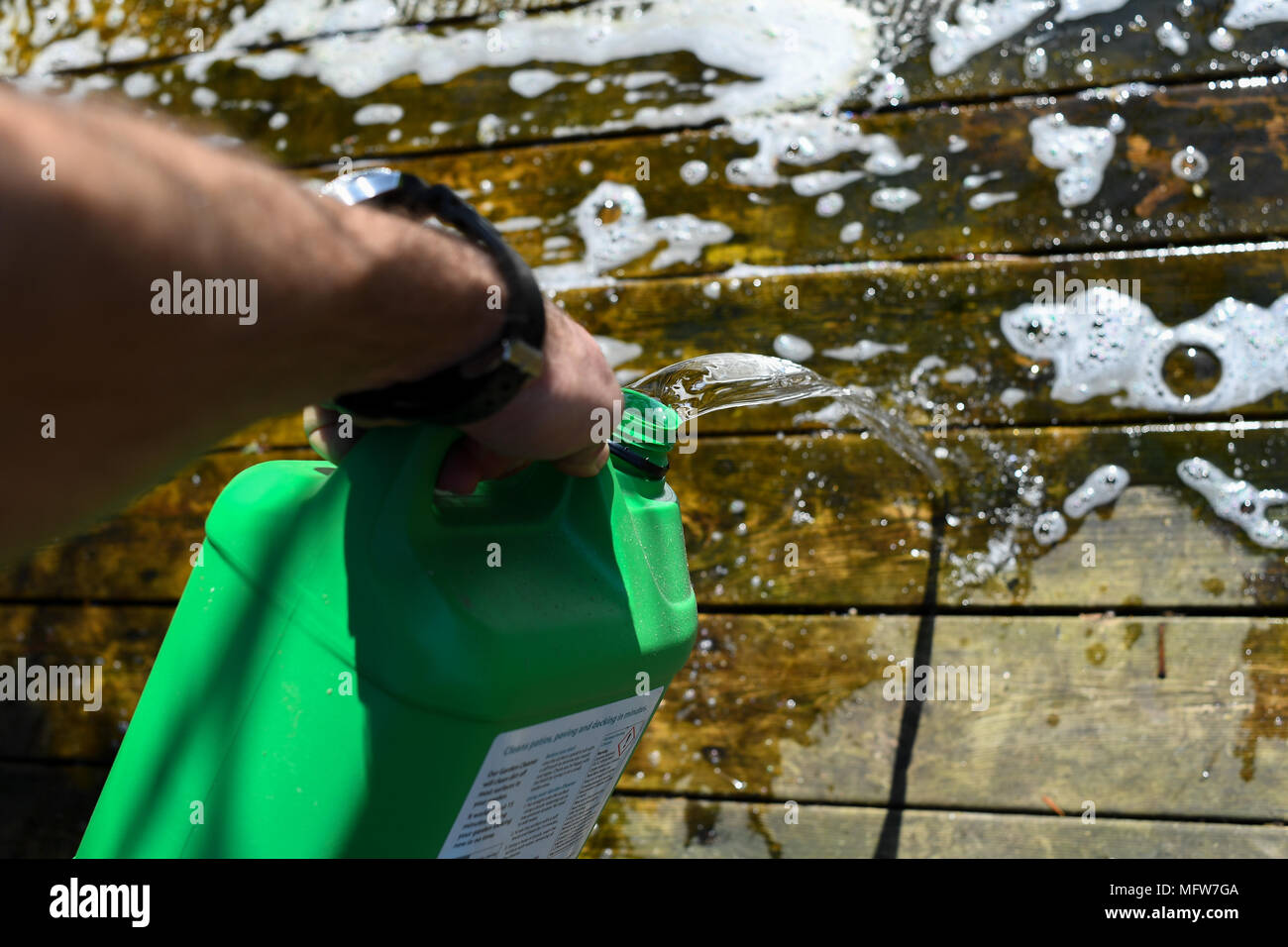 Green and dirty algae covered garden decking in the process of being ...
