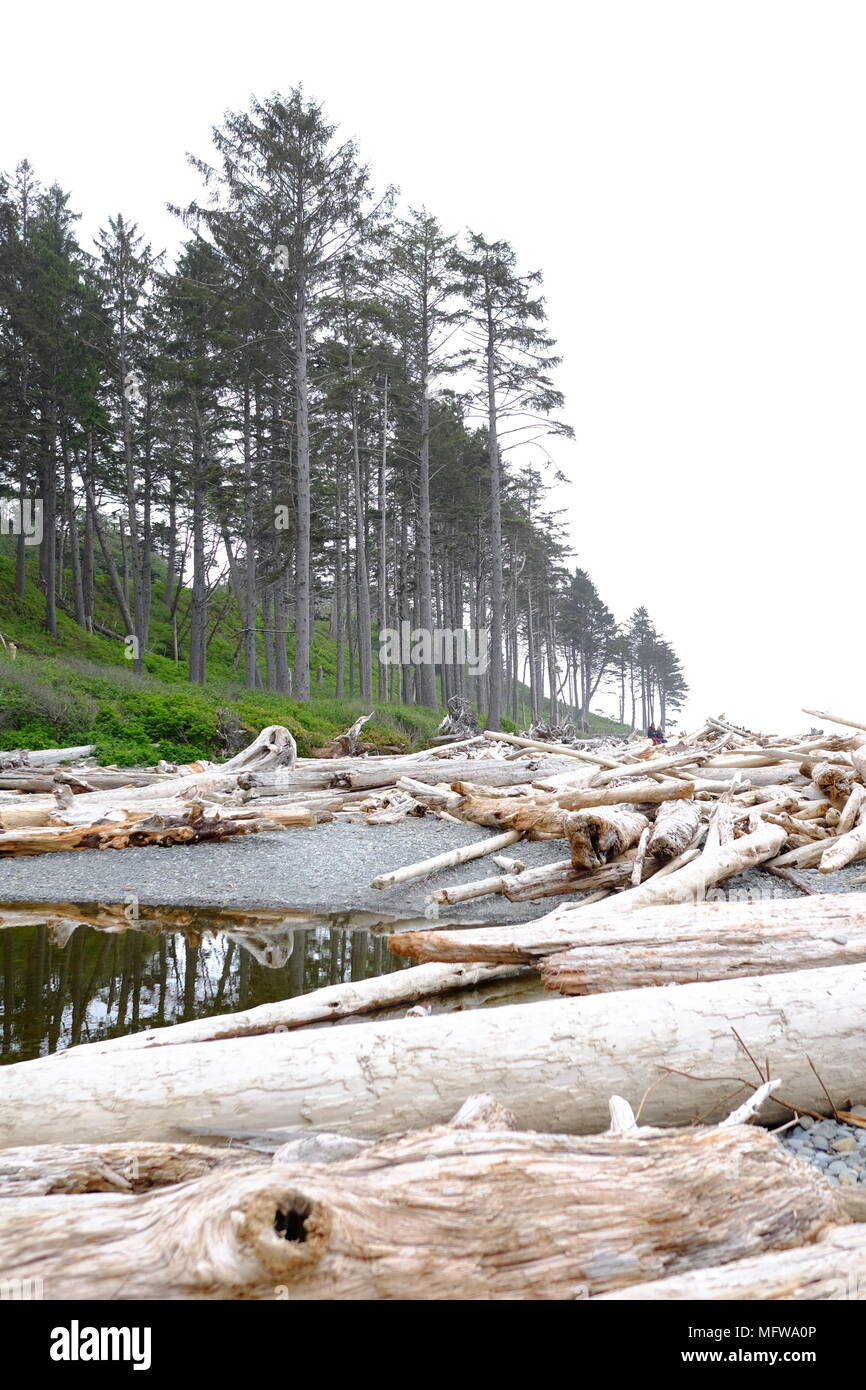 La Push Washington Stock Photo - Alamy