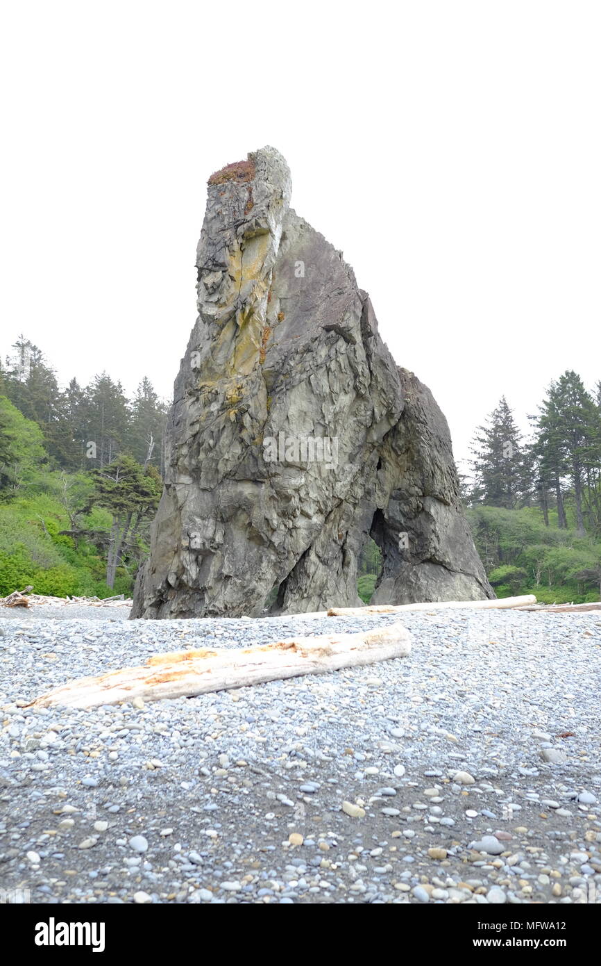 La Push Washington Stock Photo - Alamy
