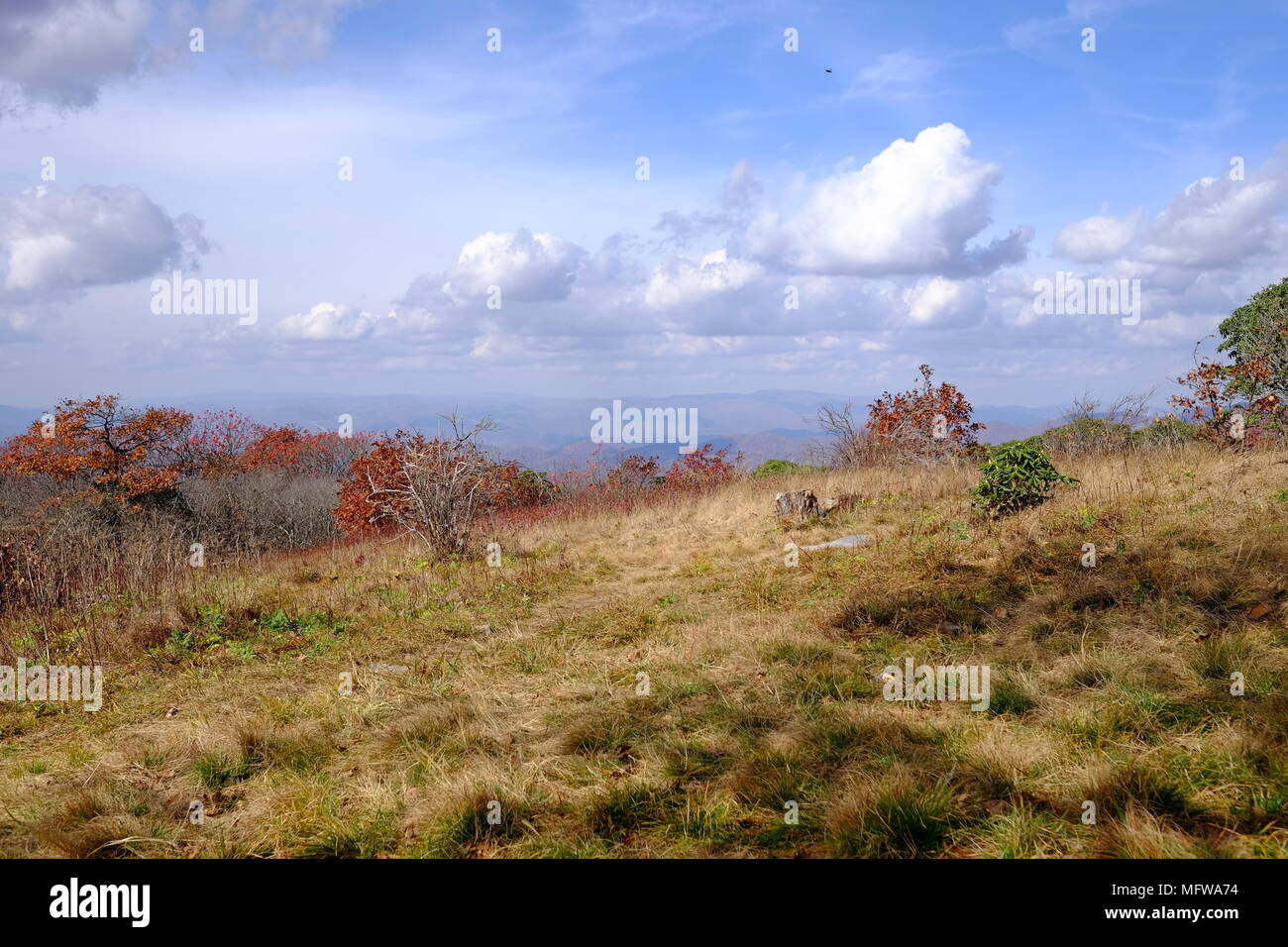 Fall scenes off the Blue Ridge Parkway Stock Photo - Alamy