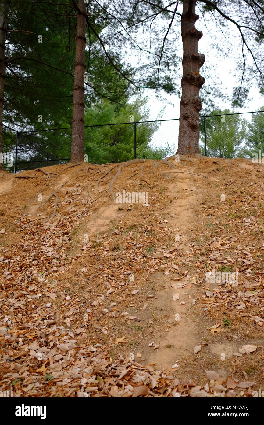 Fall scenes off the Blue Ridge Parkway Stock Photo - Alamy
