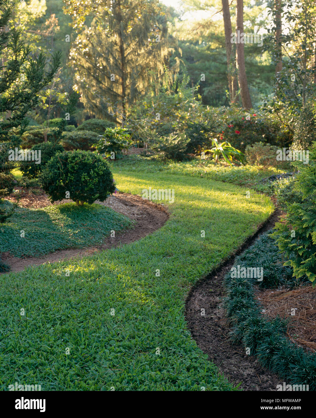 Grass path through flower borders with shrubs and trees Stock Photo - Alamy