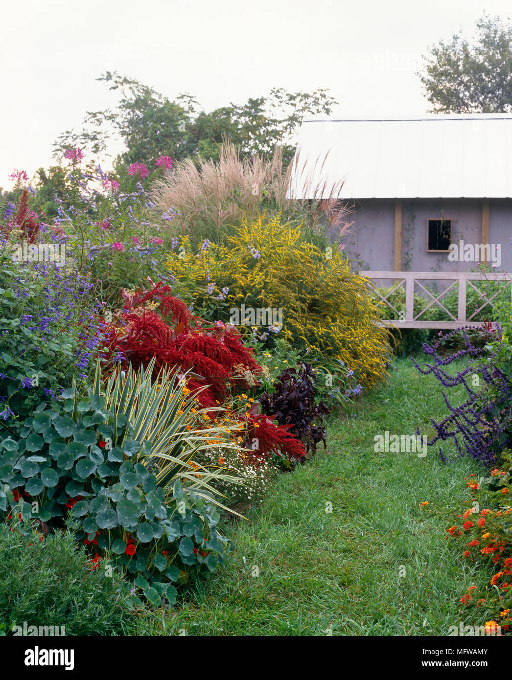 Colourful flower border hi-res stock photography and images - Alamy