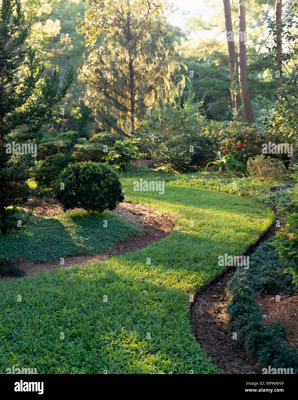 Grass path winding through garden flower borders Stock Photo - Alamy